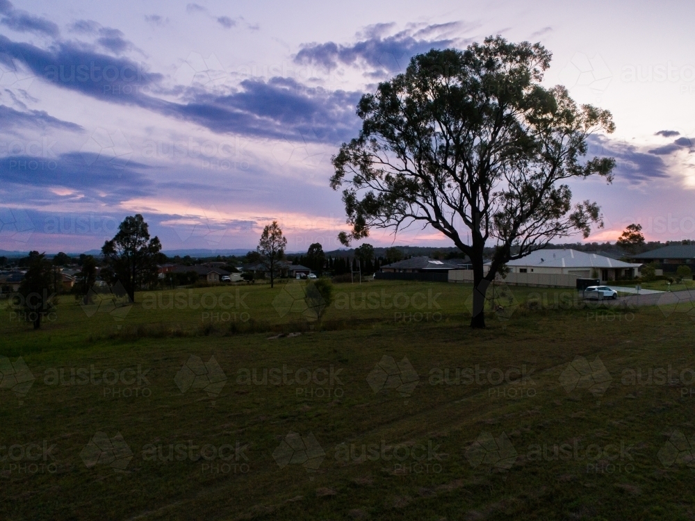 Image of Gum tree in vacant lot silhouette against purple sunset sky ...