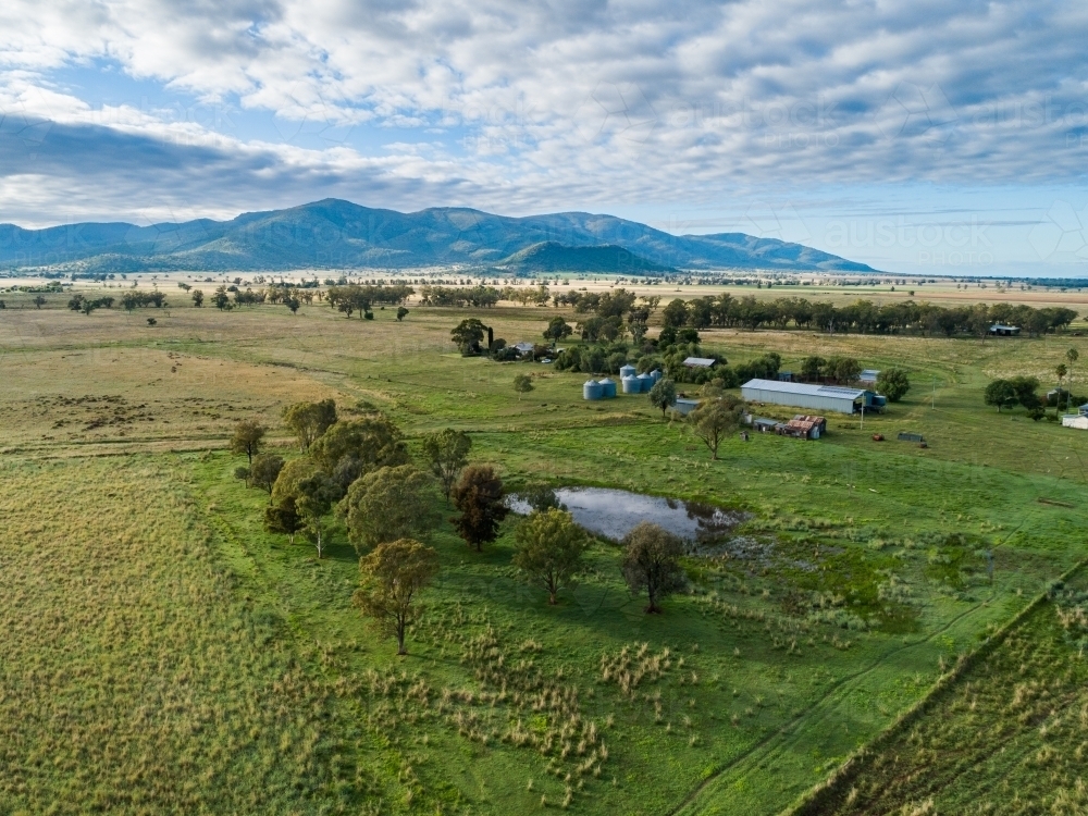 Image of Gum trees around farm dam with farmstead buildings in green ...