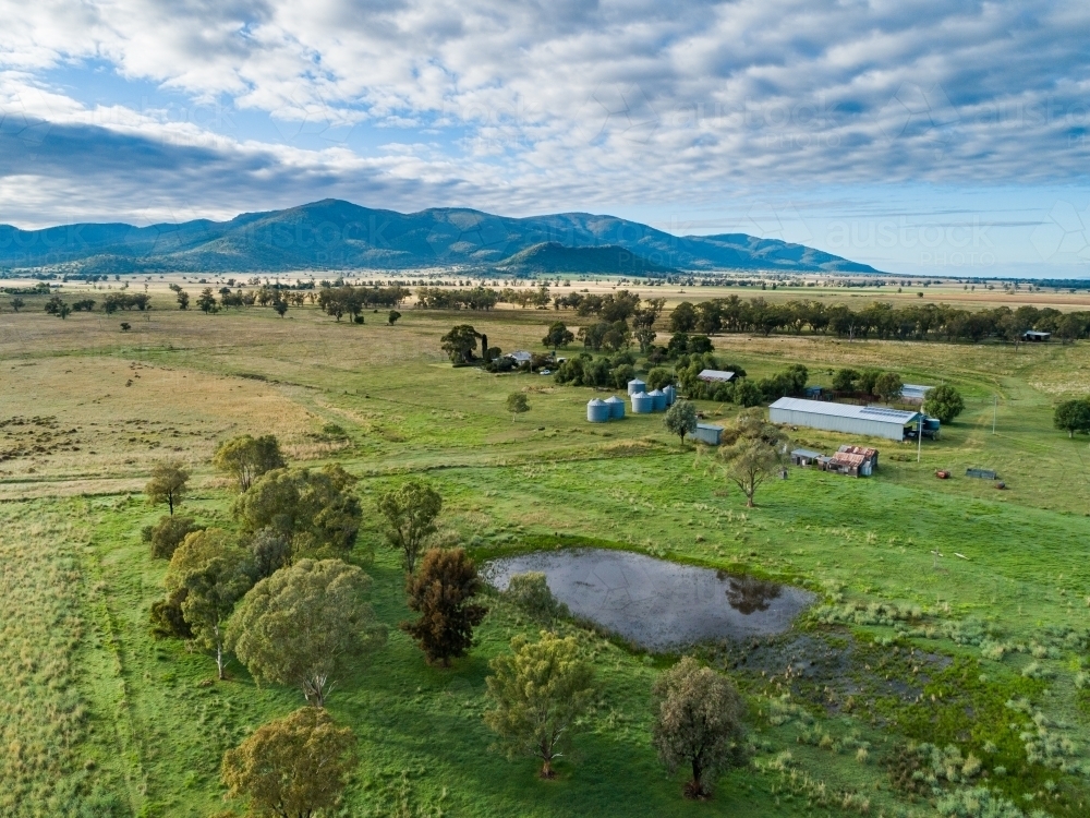 Image of Gum trees around farm dam with farmstead buildings in green ...