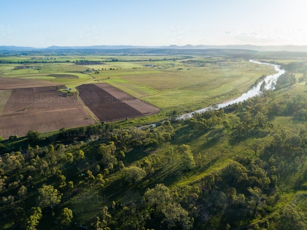 Image of gum trees in lush green farm paddock and cliff down to sunlit ...