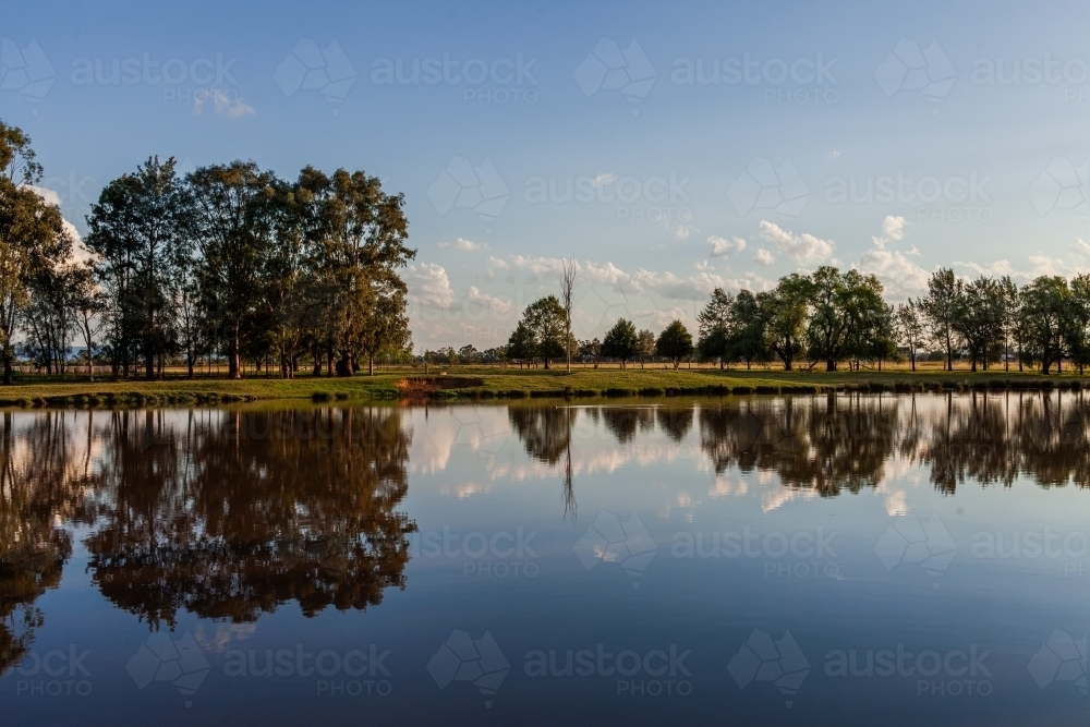 Image of Gum trees reflecting in dam water on farm - Austockphoto