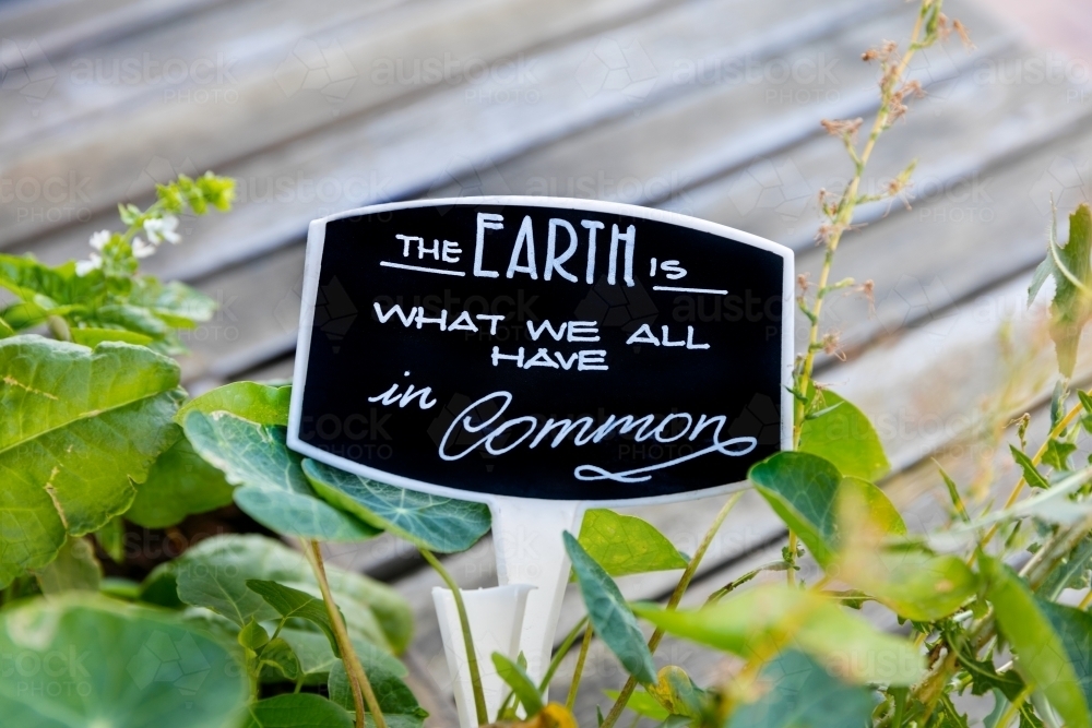Image of Hand written signs in soil of organic garden plants - Austockphoto