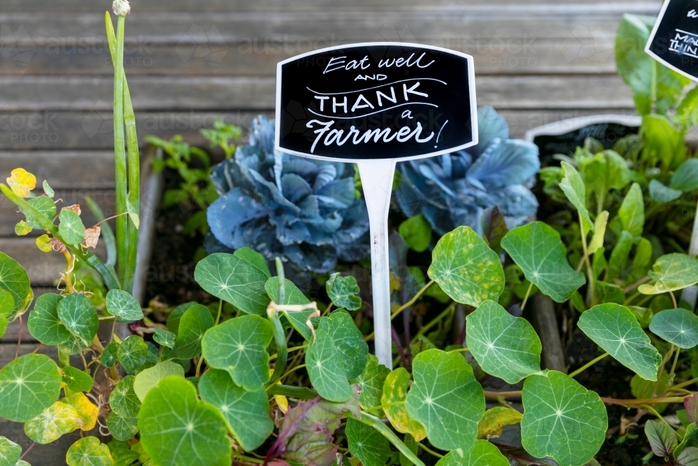 Image of Hand written signs in soil of organic garden plants - Austockphoto