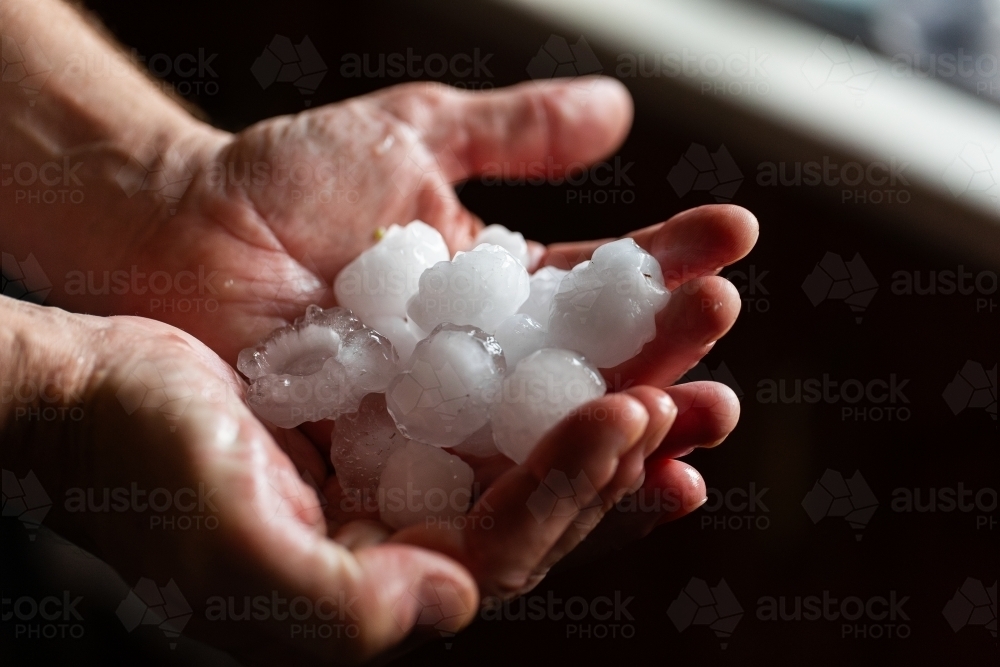 Image of Handful of hailstones - Austockphoto