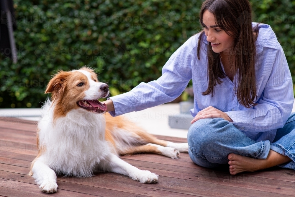 Image of happy dog with owner - Austockphoto