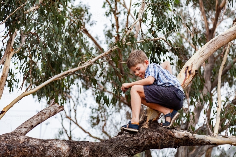 Image of Happy kid climbing on fallen gum tree branch - Austockphoto