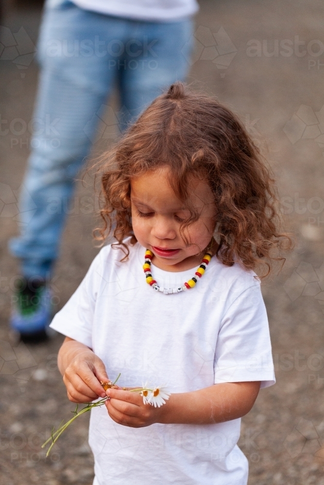Image of Happy little Aboriginal girl with picked daisy flower at dusk ...
