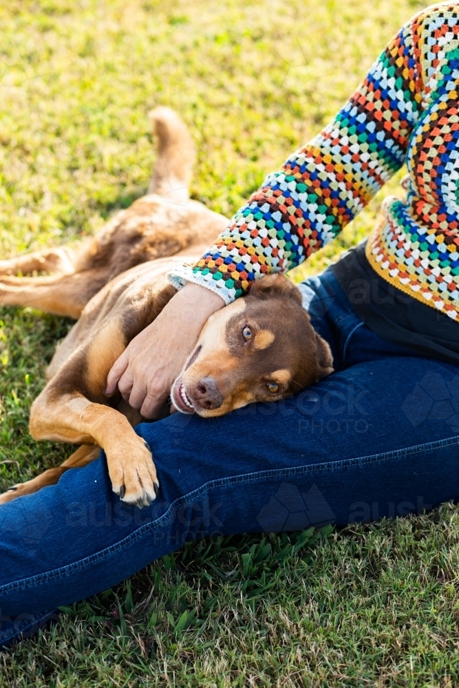 Image of Happy old red kelpie dog lying with female owner on green lawn ...