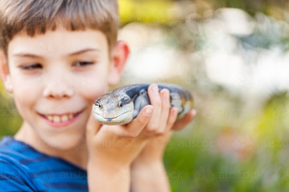 Image of Happy tween boy holding native australian blue tongue lizard ...
