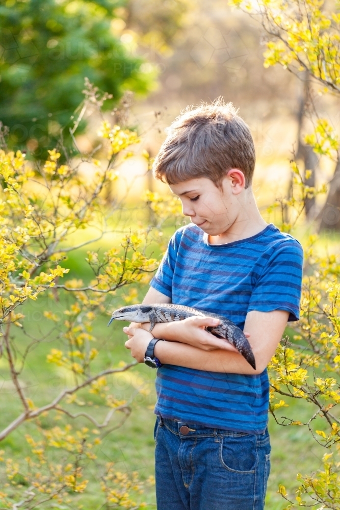 Image of Happy tween boy with blue-tongued lizard outside in garden ...