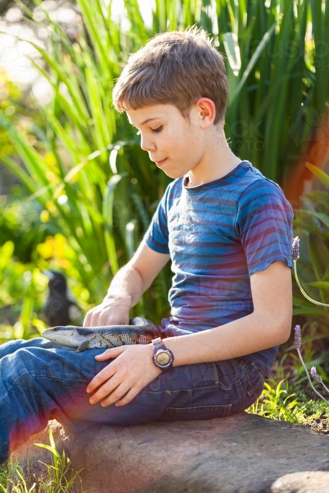 Image of Happy tween boy with blue-tongued lizard outside in garden ...