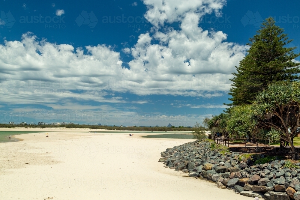 Image of Happy Valley beach with pandanus palm trees and pine trees ...