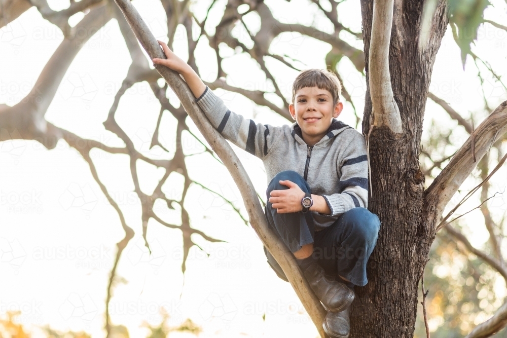 Image of Happy young country kid climbing up gum tree in paddock on ...