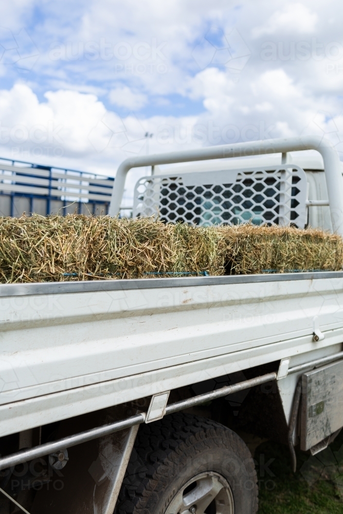 Image of Hay bales on back of ute - Austockphoto