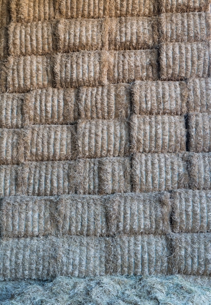 Image of Hay bales stacked up - Austockphoto