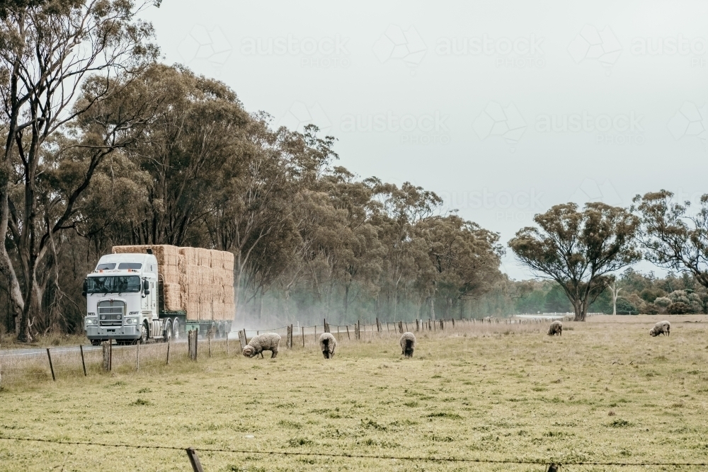 Image of Hay truck drives on wet road. - Austockphoto