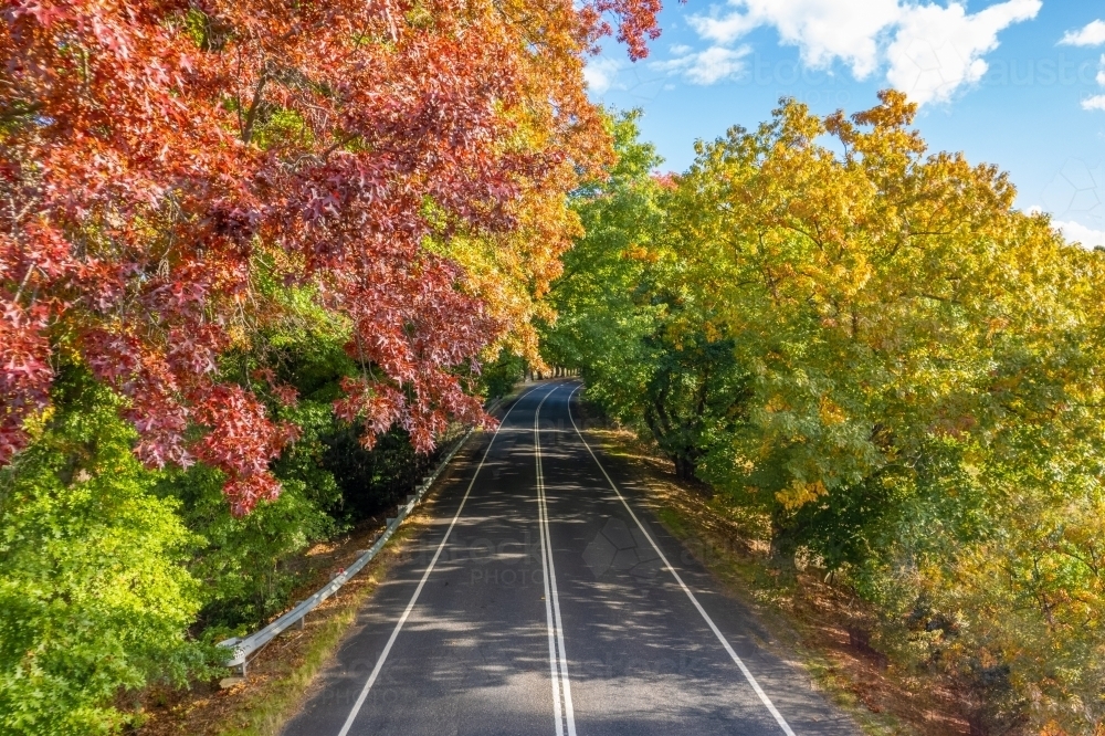 Image of Heading through a canopy of autumn trees along an asphalt road ...