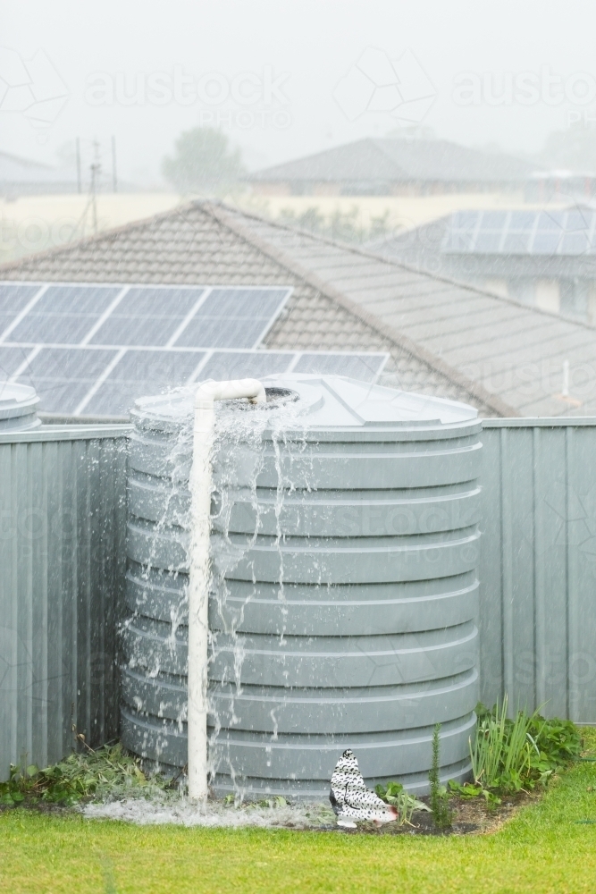 Image of Heavy rainfall in backyard with water overflowing from tank ...