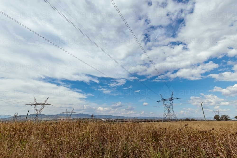 Image of High voltage power lines in paddock near Tamworth, New South ...