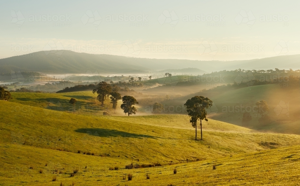 Image of Hilly Farmland on Frosty Morning on Urban Fringe of Melbourne ...