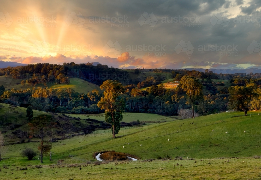Image of Hilly Farmland on Melbourne's Urban Fringe - Austockphoto