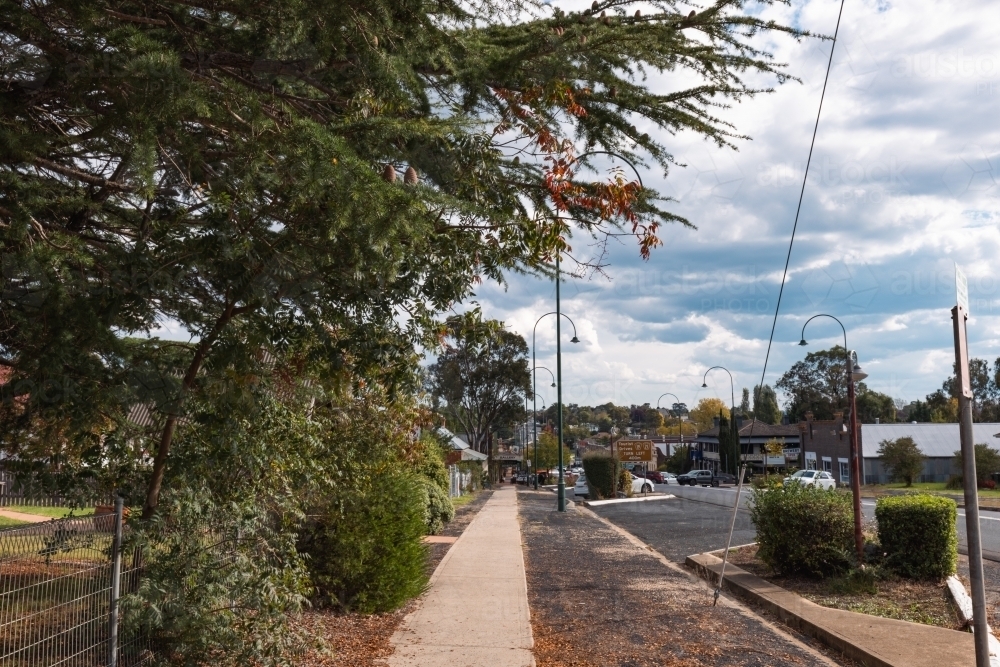 Image of Historic buildings in the main street of Uralla in the NSW ...