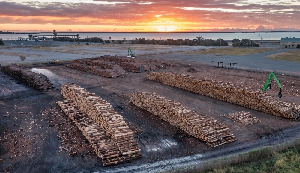 Image of Horizontal shot of timber piles at sunset - Austockphoto
