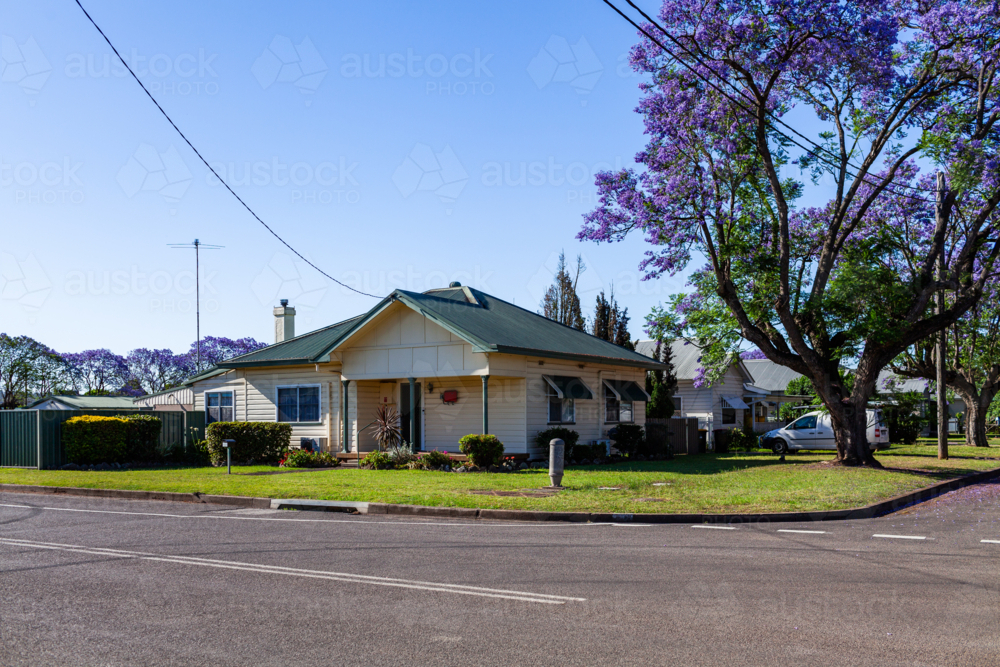 Image of House on corner block in town with flowering jacaranda tree in ...