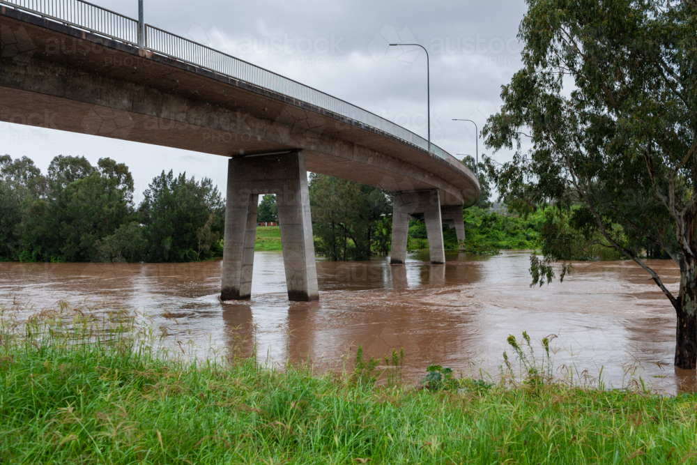 Image of Hunter River rising filling with brown floodwater during ...