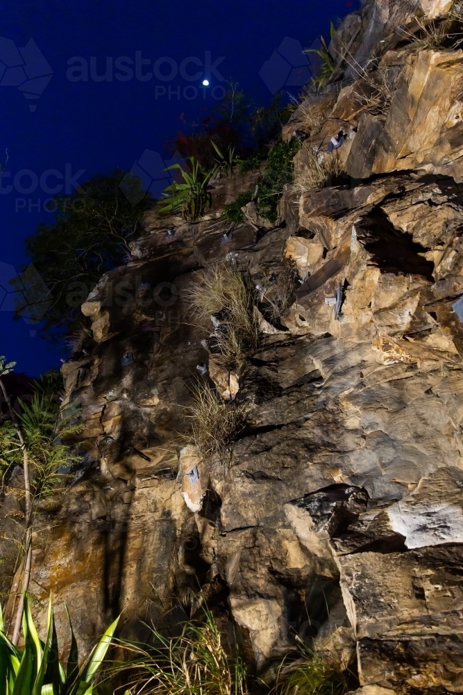 Image of kangaroo point cliffs at night time with the moon above ...