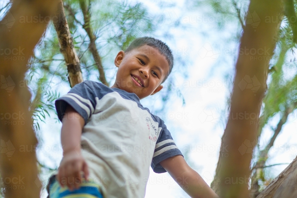 Image of Kid looking down from up in a tree - Austockphoto