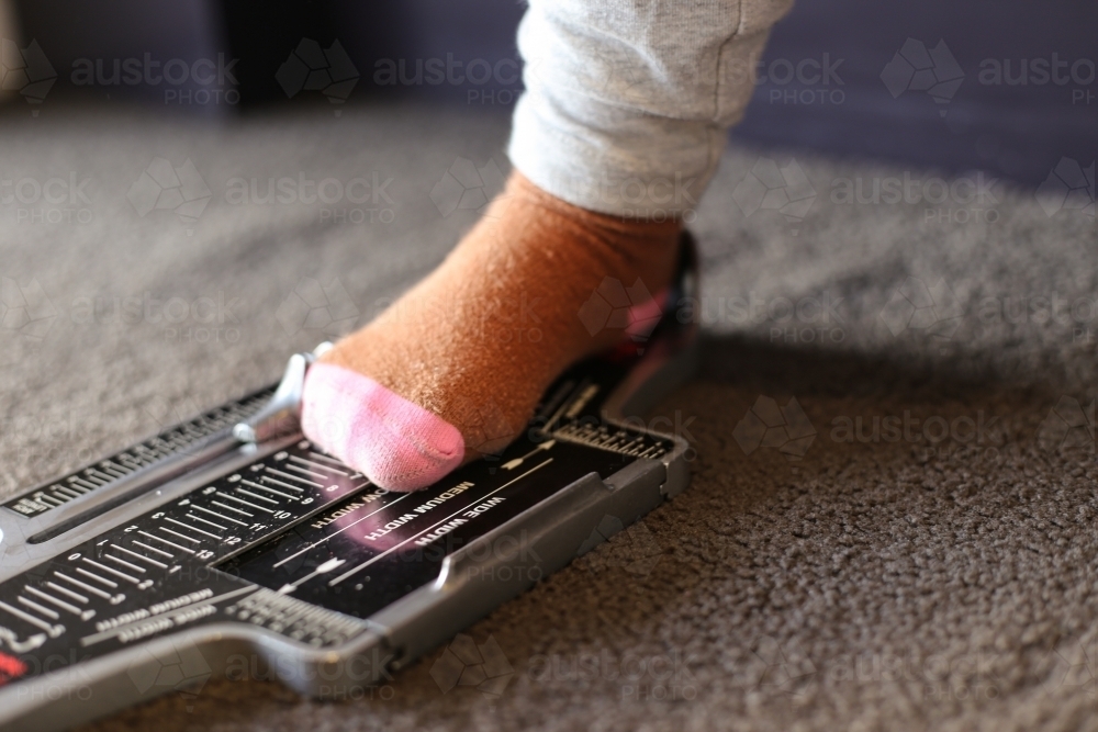 Image of kid's foot wearing brown and pink socks on a foot measuring ...