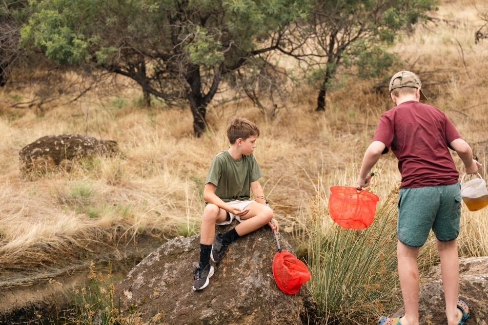Image of Kids catching tadpoles in nature - Austockphoto