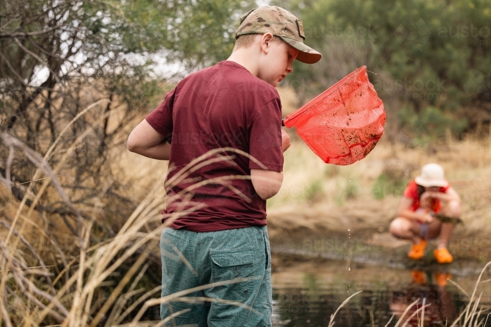 Image of Kids catching tadpoles. Outdoor nature activity. - Austockphoto