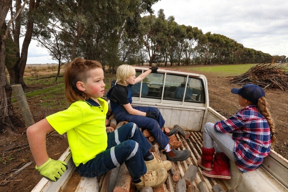 Image of Kids riding in back of old work ute while out wood cutting on ...