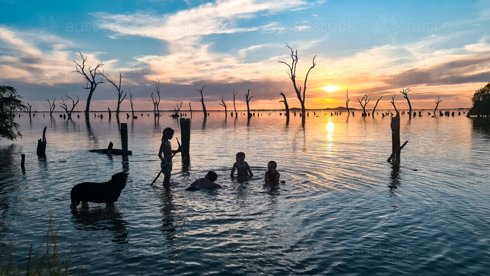 Image of Kids swimming at Kow Swamp in rural Victoria at sunset ...