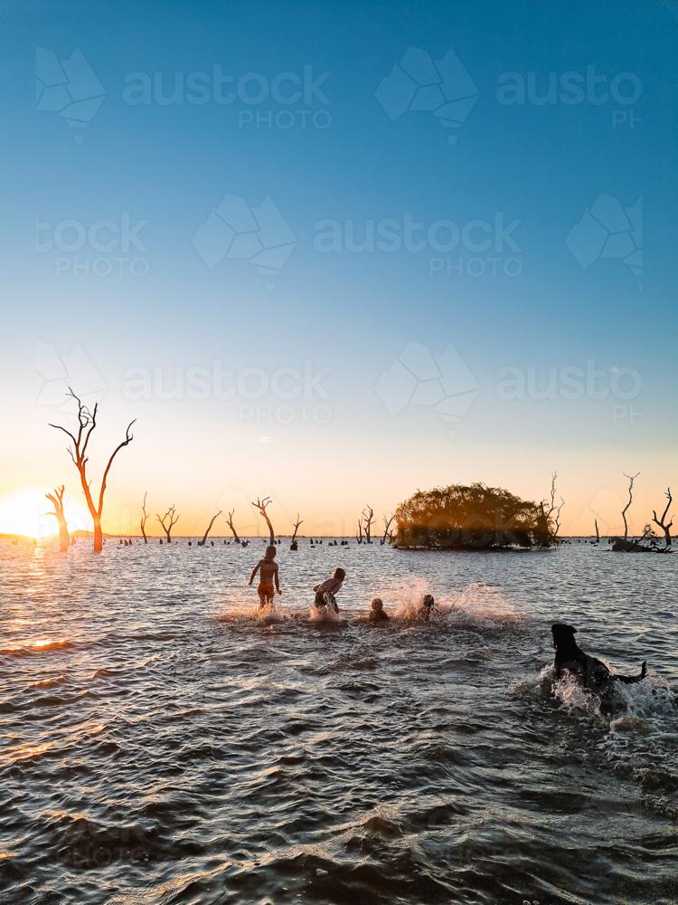 Image of Kids swimming at Kow Swamp in rural Victoria at sunset ...