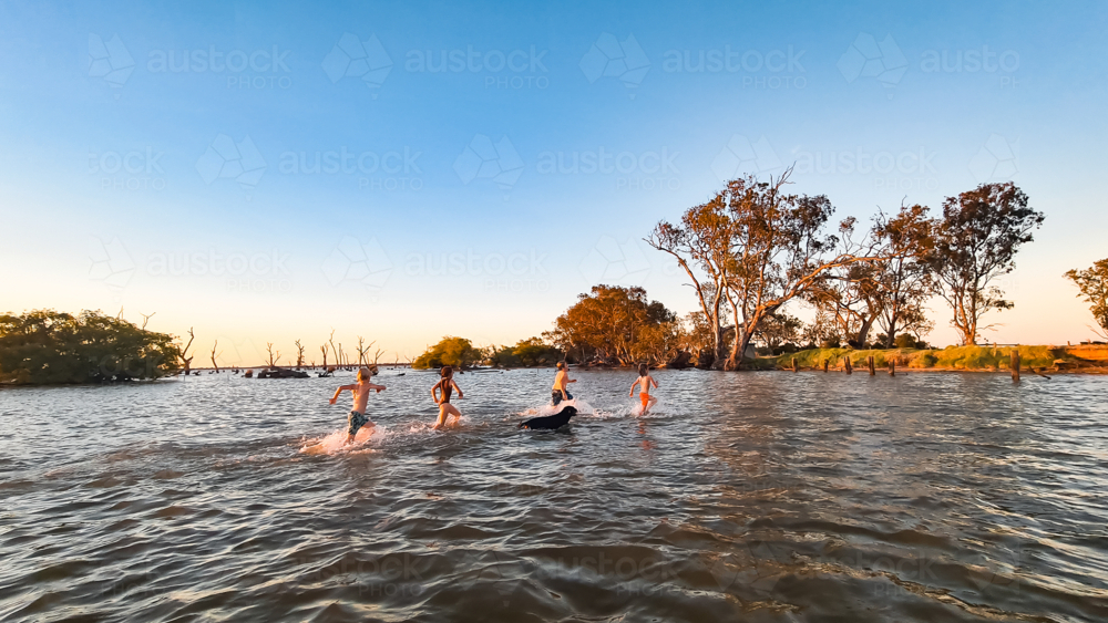 Image of Kids swimming at Kow Swamp in rural Victoria at sunset ...