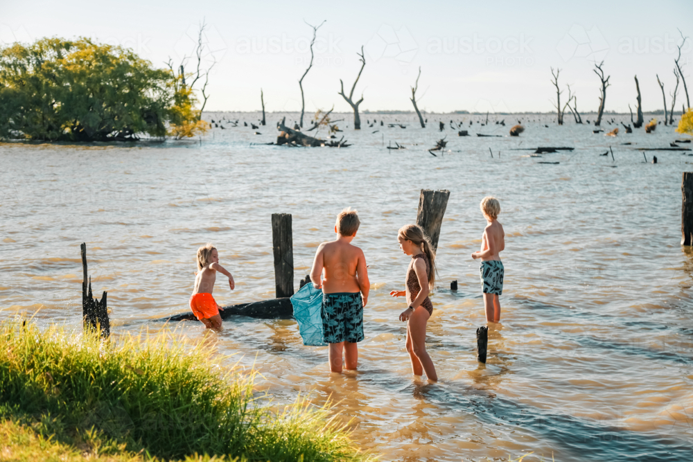 Image of Kids swimming at Kow Swamp in rural Victoria - Austockphoto