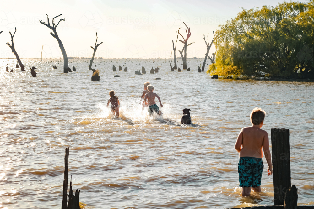 Image of Kids swimming at Kow Swamp in rural Victoria - Austockphoto