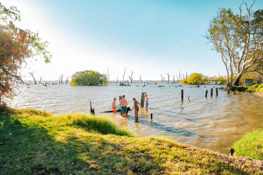 Image of Kids swimming at Kow Swamp in rural Victoria - Austockphoto