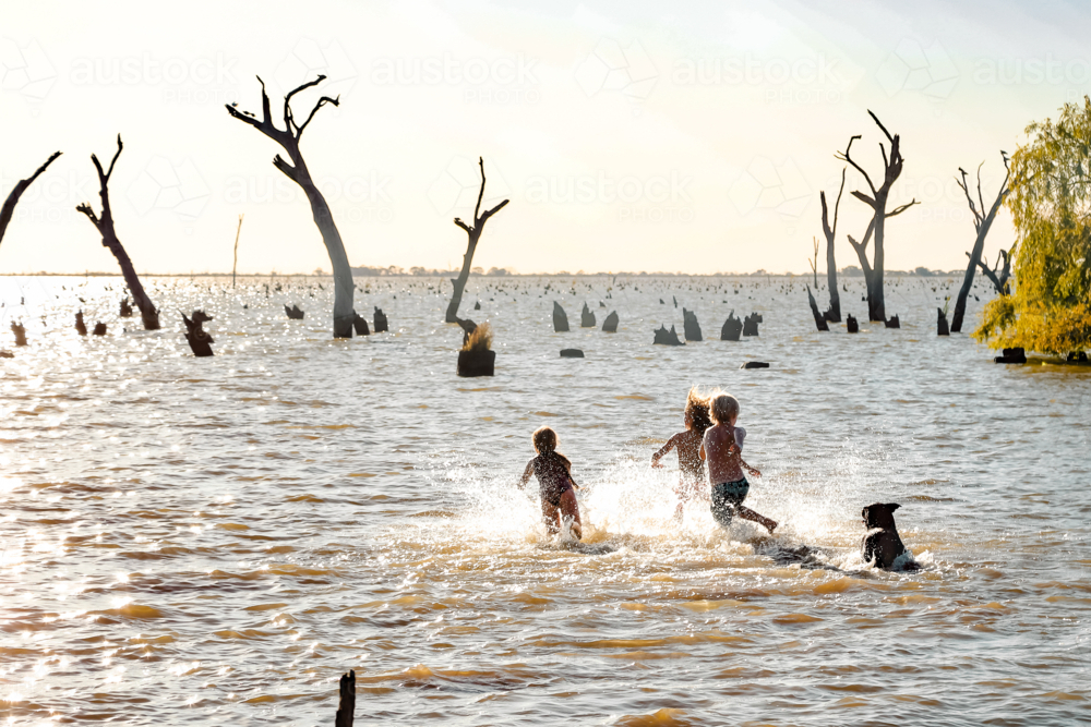 Image of Kids swimming at Kow Swamp in rural Victoria - Austockphoto