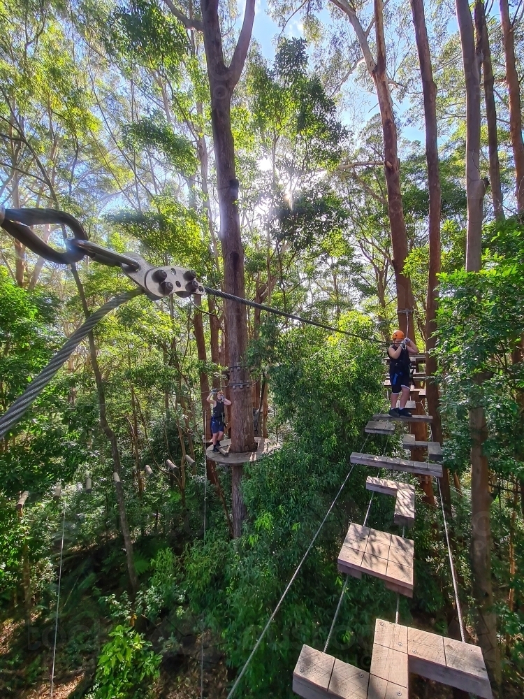 Image of Kids taking part in a treetop adventure challenge, high ropes ...