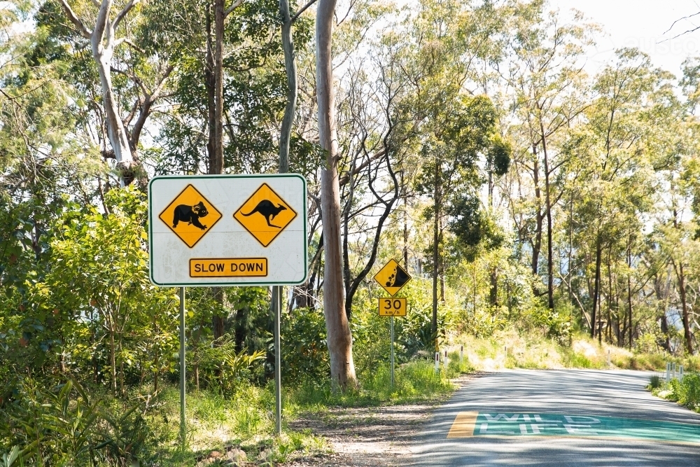 Image of koala and kangaroo wildlife warning signs - Austockphoto