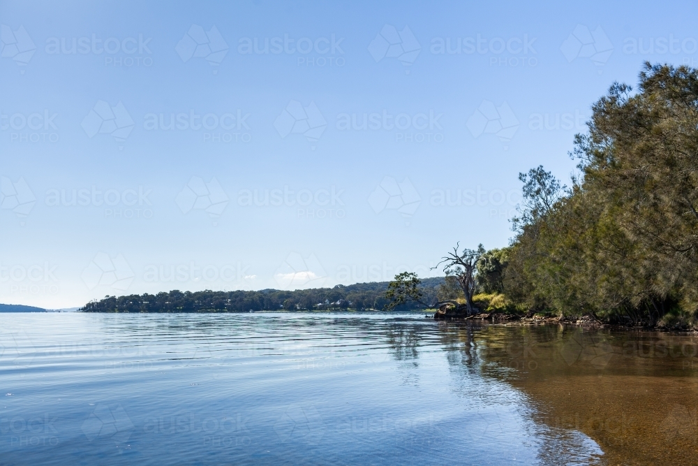 Image of Landscape of lake shoreline with trees to shallow water ...