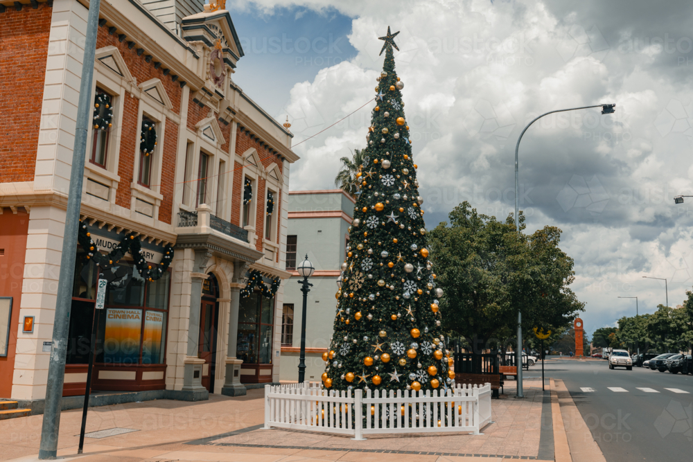 Image of Large Christmas tree on display in the town centre of Mudgee ...