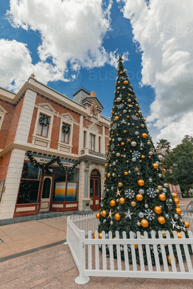 Image of Large Christmas tree on display in the town centre of Mudgee ...