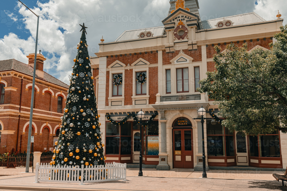 Image of Large Christmas tree on display in the town centre of Mudgee ...