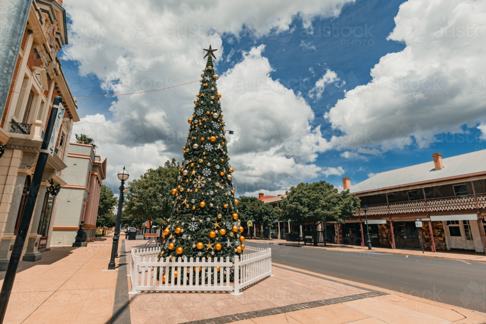 Image of Large Christmas tree on display in the town centre of Mudgee ...