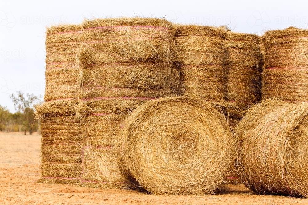 Image of Large hay bales delivered and stacked for drought relief ...